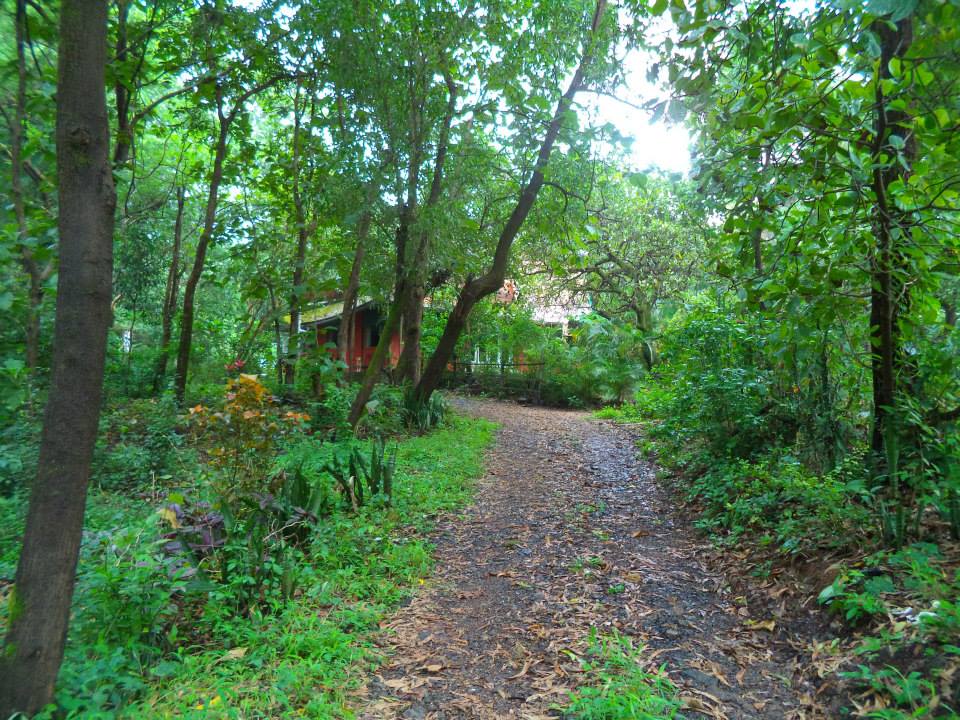 Welcome [honsranch.com]